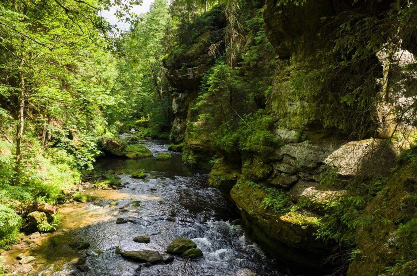 Kudy z nudy - Řeka hřenská Kamenice