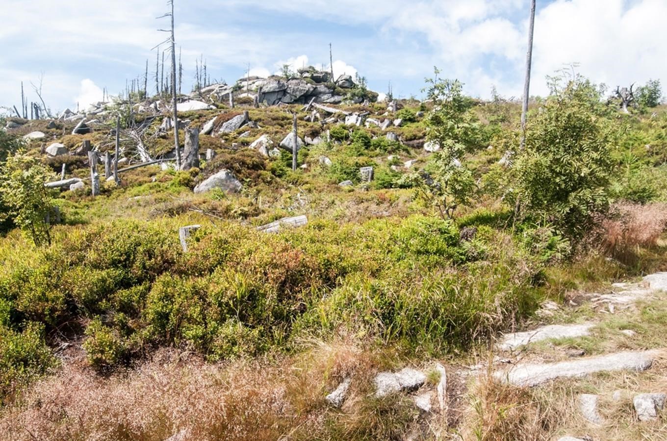 Kudy z nudy - Hora Plechý - nejvyšší vrchol české části Šumavy