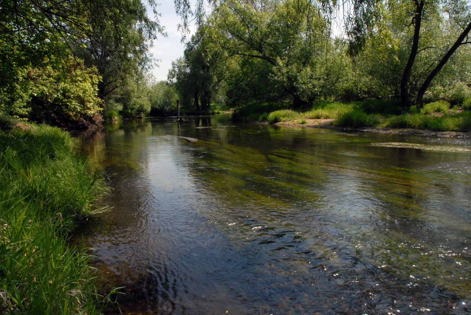Kudy z nudy - Půjčovna lodí Dyje - první půjčovna na řece Dyji ve Znojmě