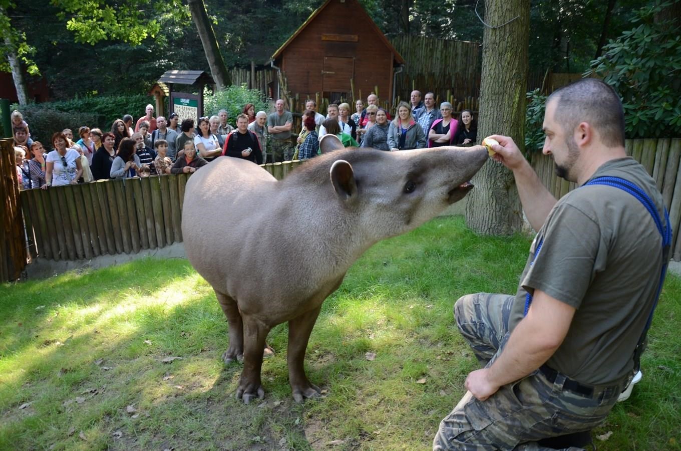 Kudy z nudy - Zoo Děčín - jedna z nejkrásnějších zoologických zahrad u nás