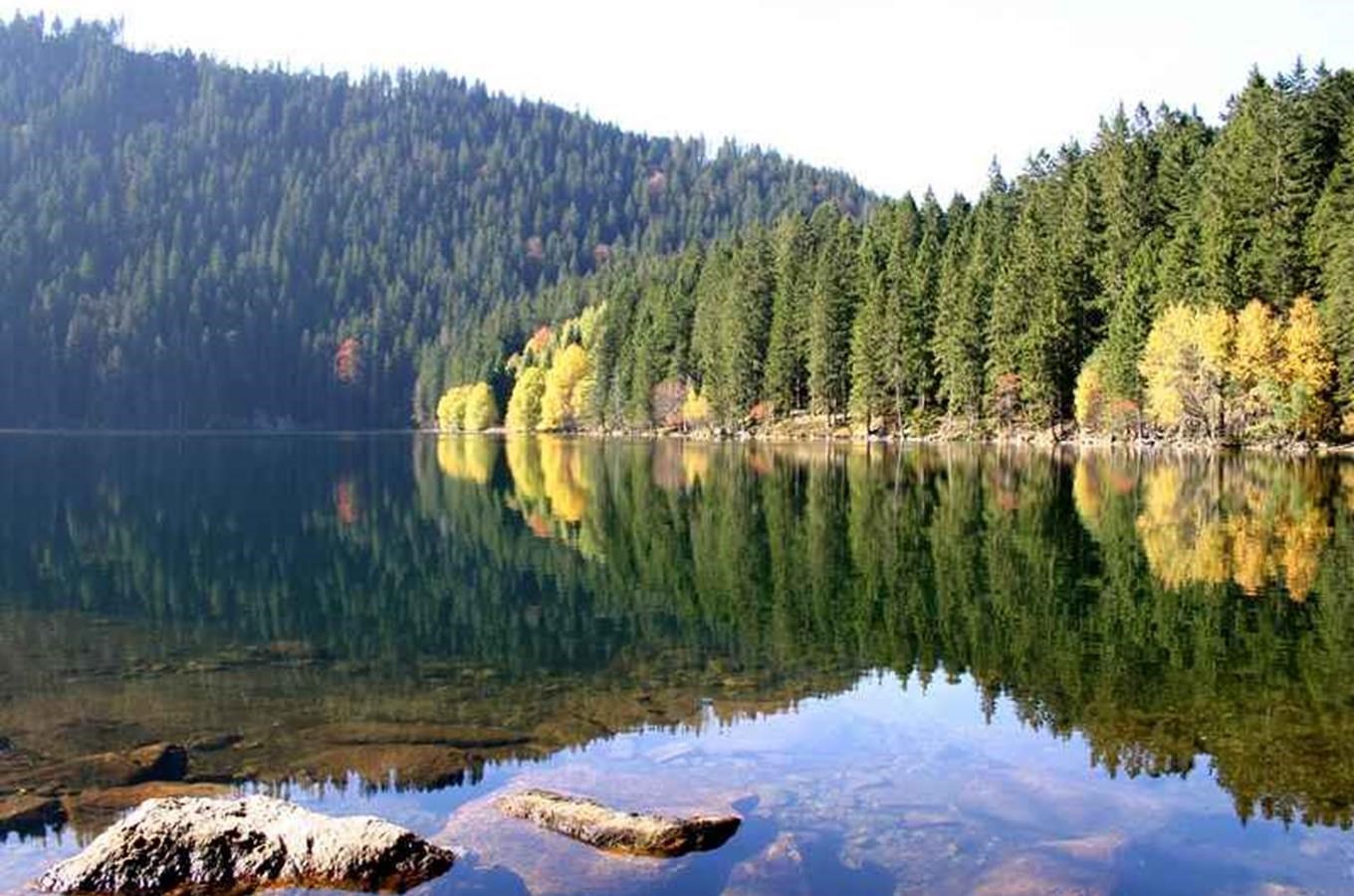 Kudy z nudy - Černé jezero na Šumavě - největší přírodní jezero České ...