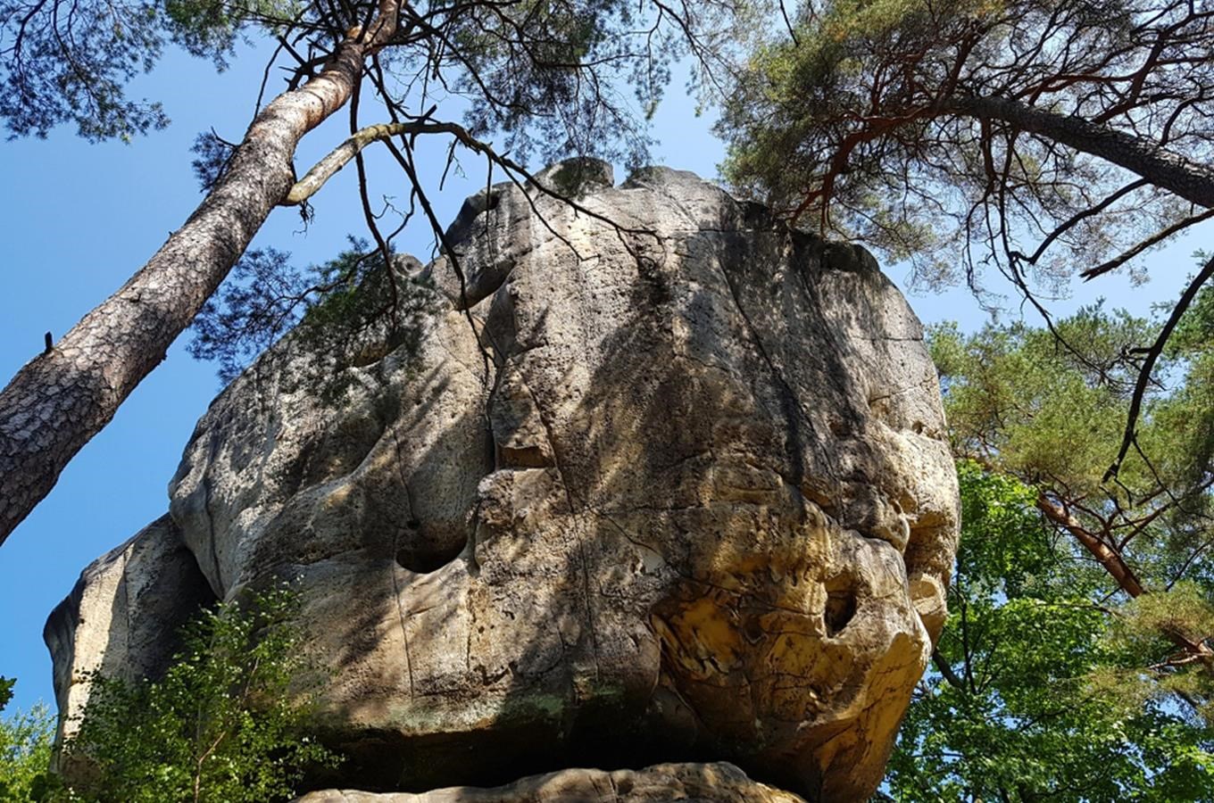 Social Trends : trzy-male-lwiatka-skaly.php