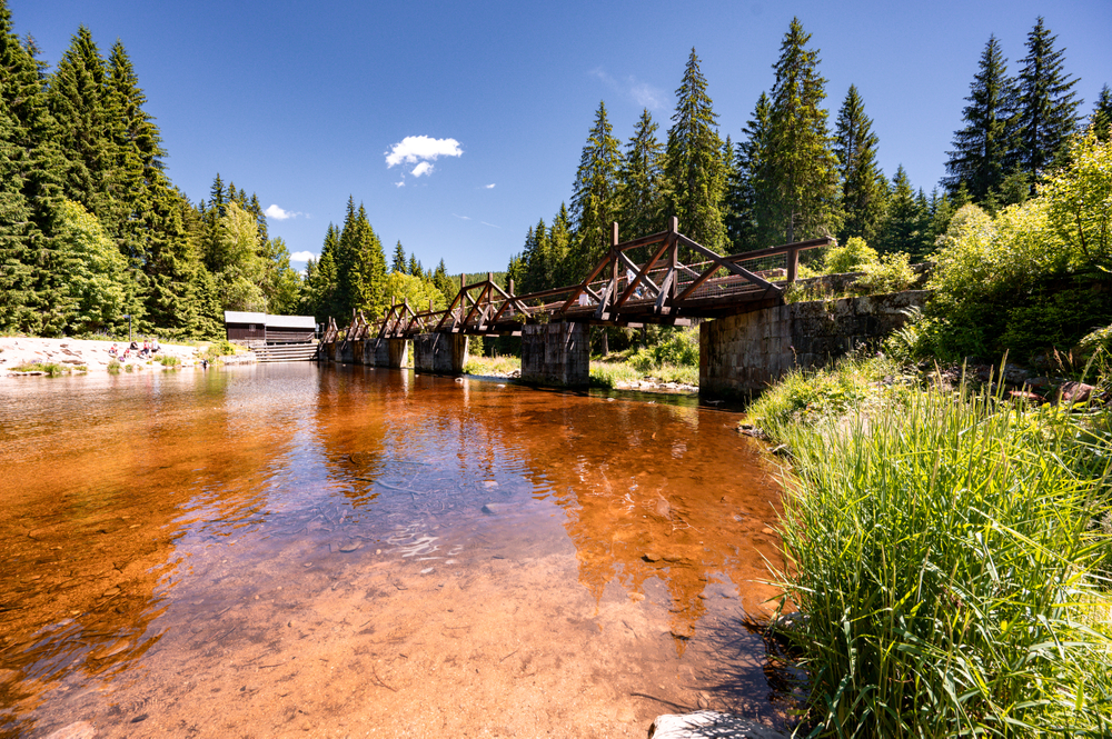 Kudy z nudy - Modrava