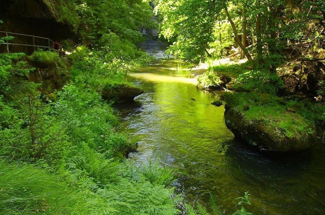 Kudy z nudy - Řeka Kamenice - nejoblíbenější divoká voda v Česku