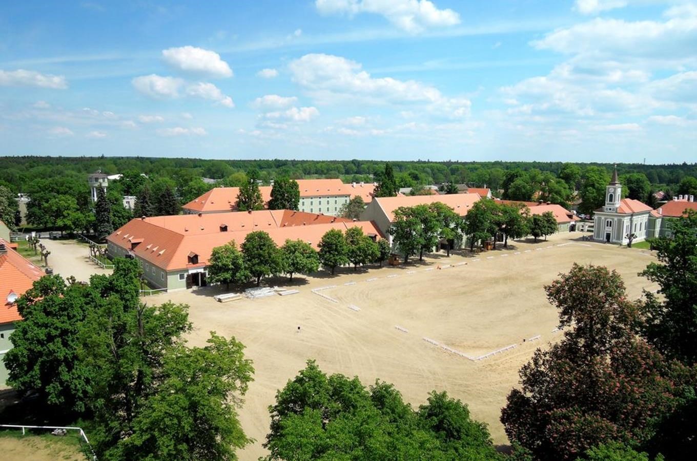 Kudy z nudy - Národní hřebčín Kladruby nad Labem – stáje a zámek v ...