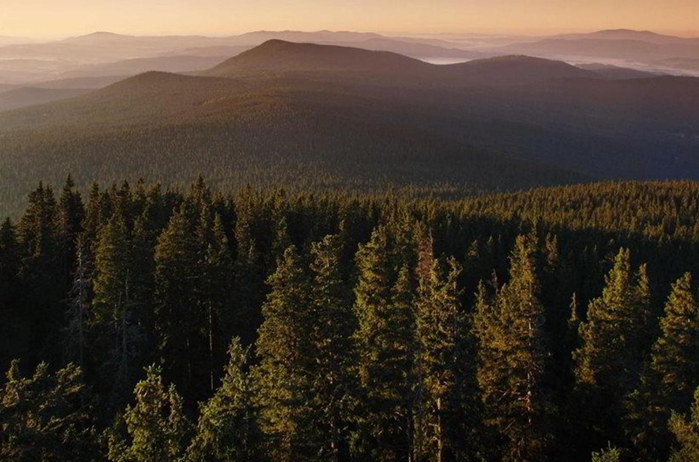 Kudy z nudy - Boubínský prales - největší původní les ve střední Evropě