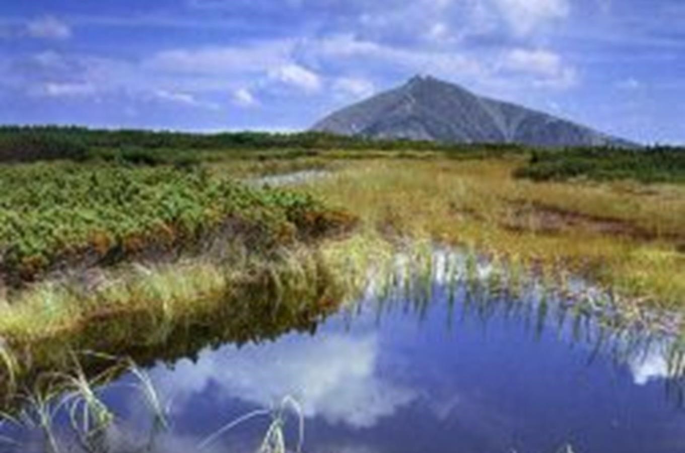 Kudy z nudy - Přírodní rezervace Úpská rašelina - nejrozsáhlejší ...