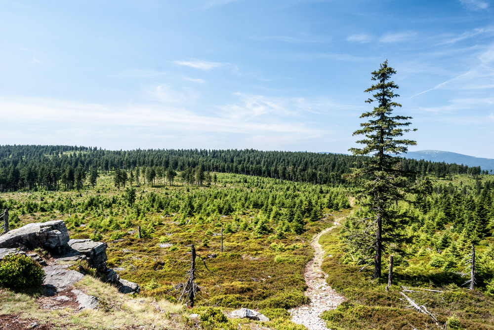 Kudy z nudy - Výlety pro samotáře v Jeseníkách: objevte zajímavosti ...