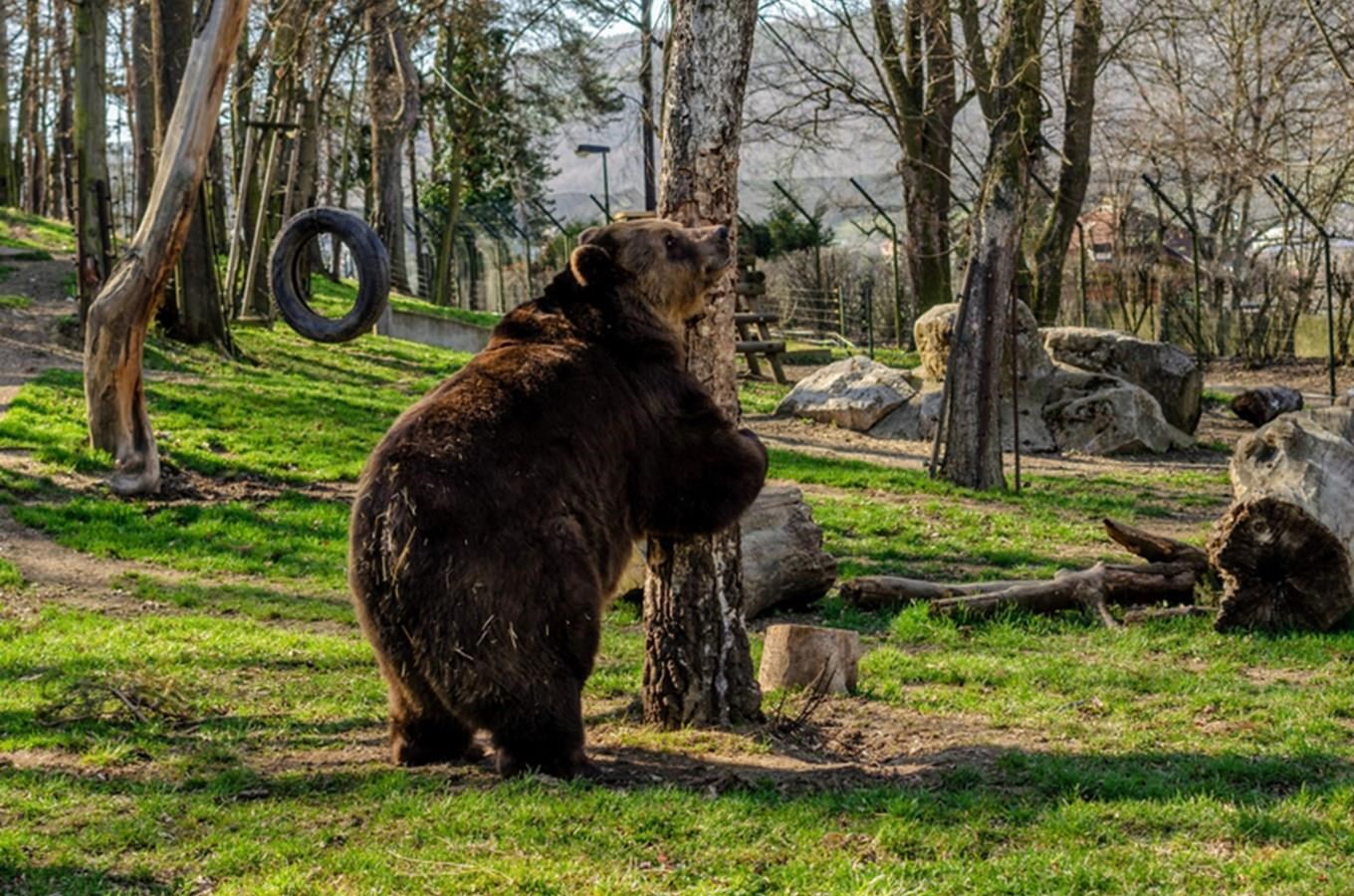 Kudy z nudy - Beroun