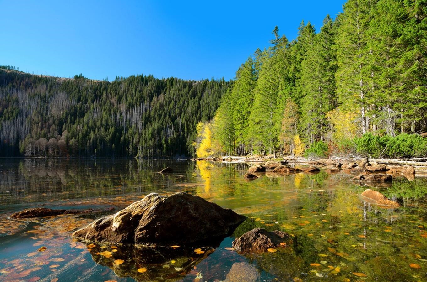 Kudy z nudy - Černé jezero na Šumavě - největší přírodní jezero České ...