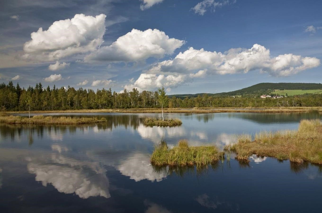 Kudy z nudy - Národní park Šumava – největší národní park České republiky