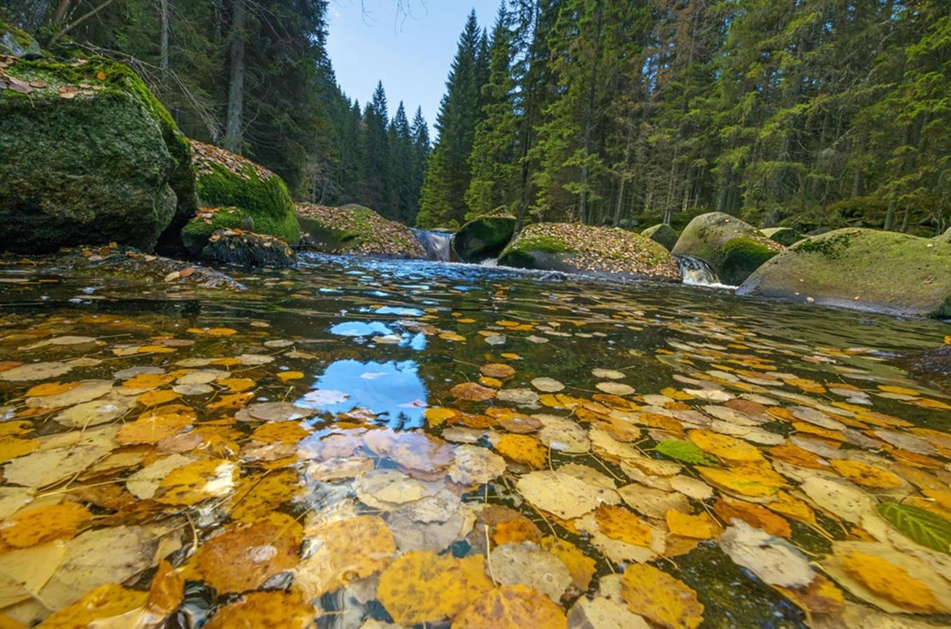 Kudy z nudy - Šumava pro tuláky: 10 pěších, méně známých tras