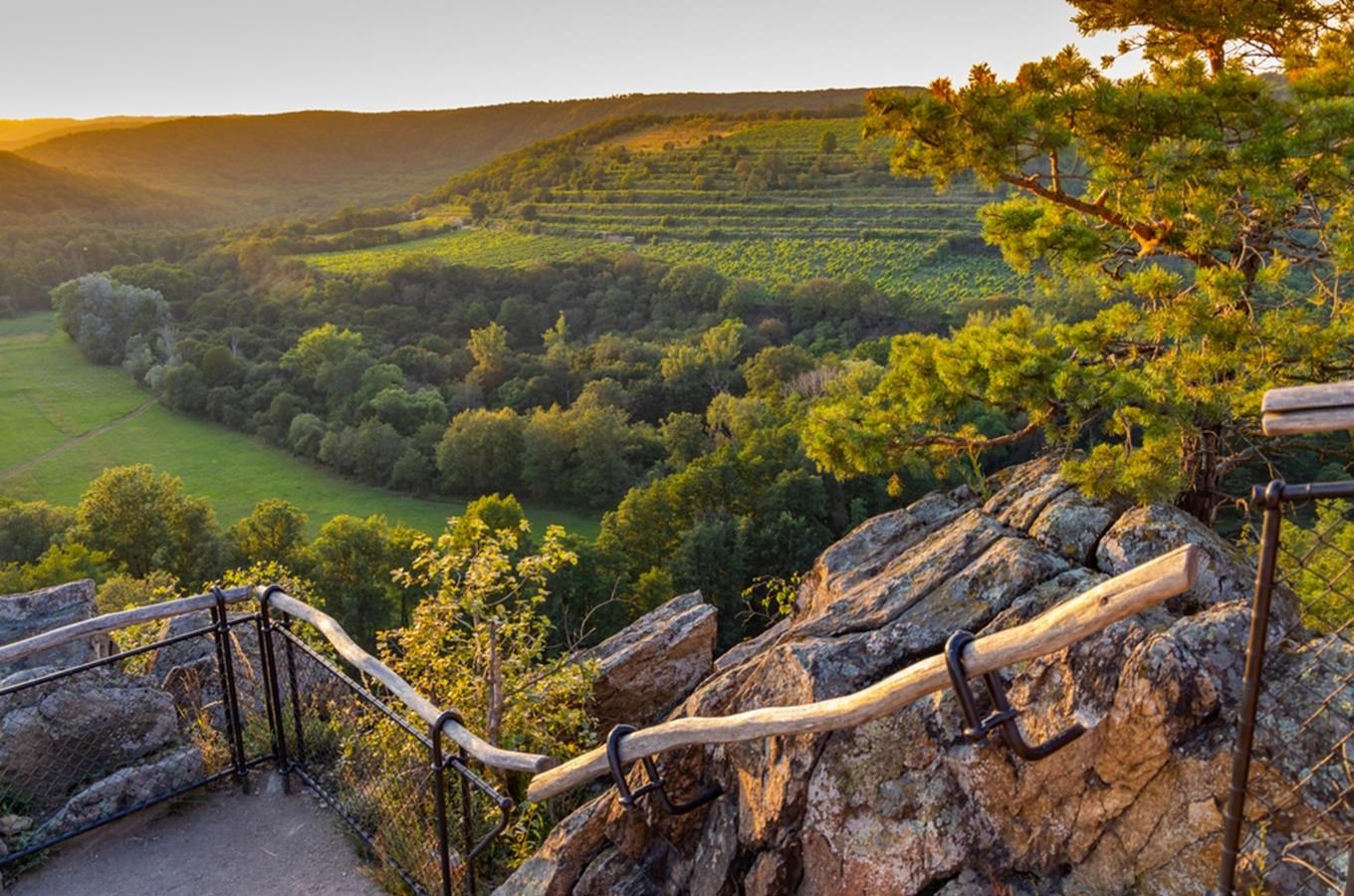 Kudy z nudy - 10 nejkrásnějších míst Národního parku Podyjí