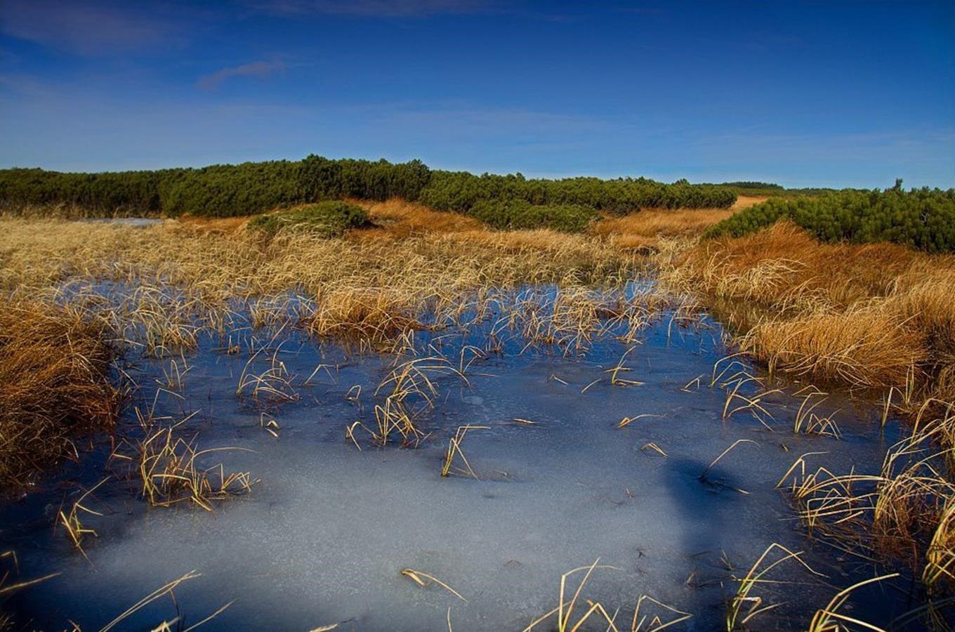 Kudy z nudy - Česká příroda a její podivuhodnosti