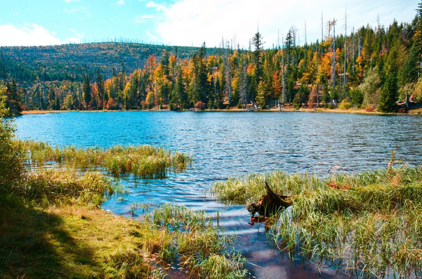 Kudy z nudy - Jezero Laka - nejmenší a nejvýše položené šumavské jezero