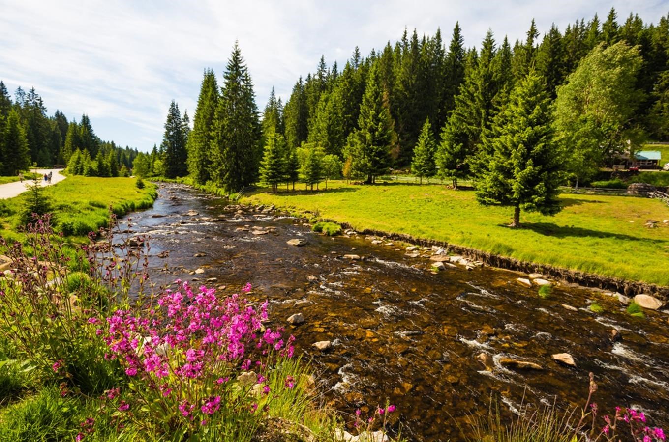 Kudy z nudy - Modrava