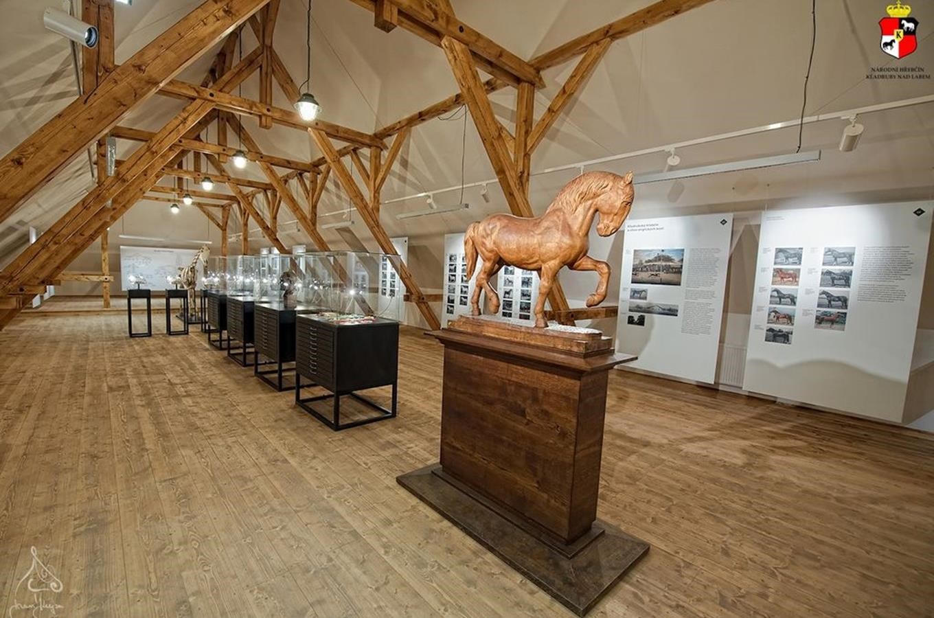 Kudy z nudy - Národní hřebčín Kladruby nad Labem – stáje a zámek v ...