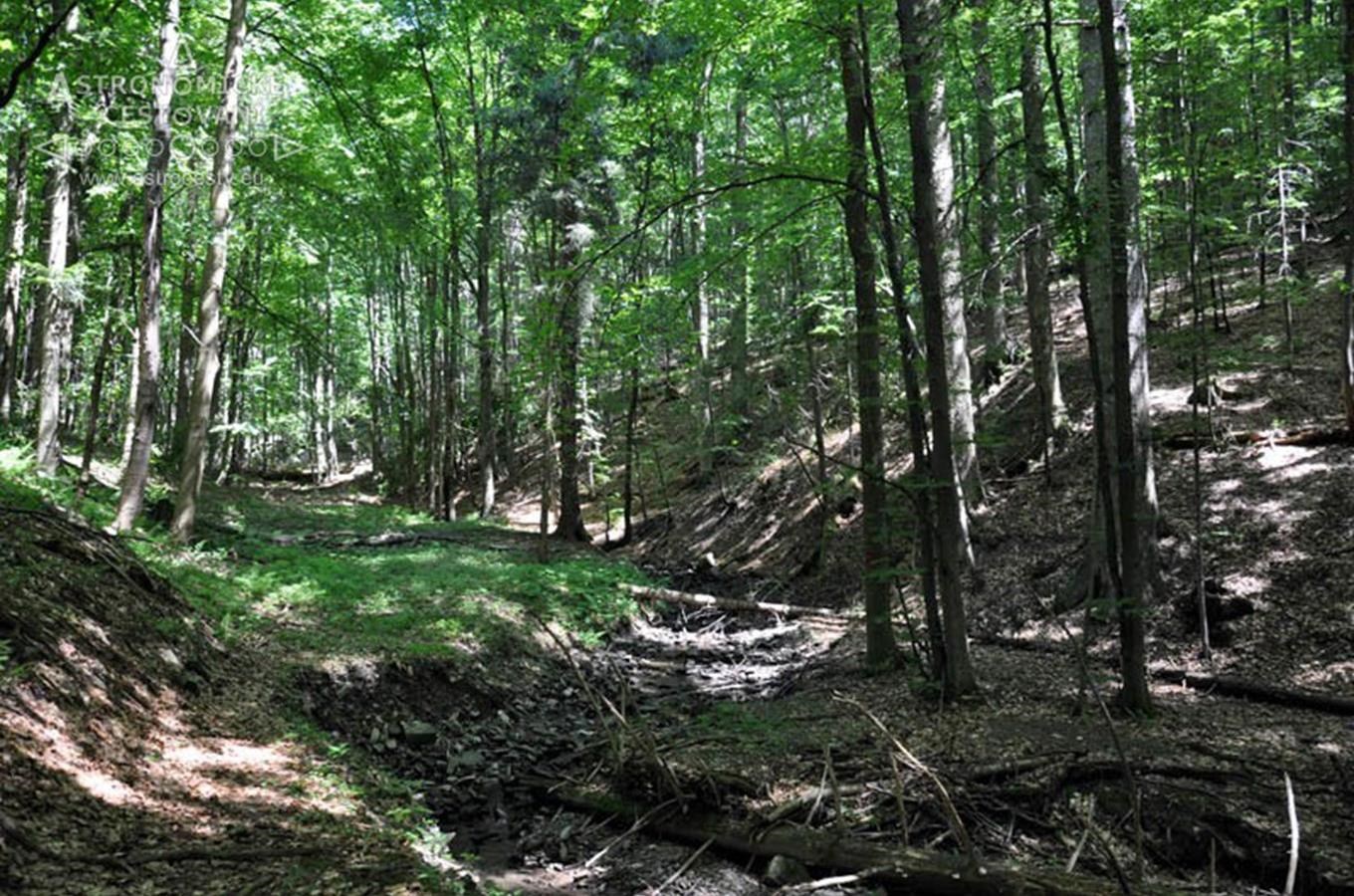 Kudy z nudy - Národní přírodní rezervace Prales Razula