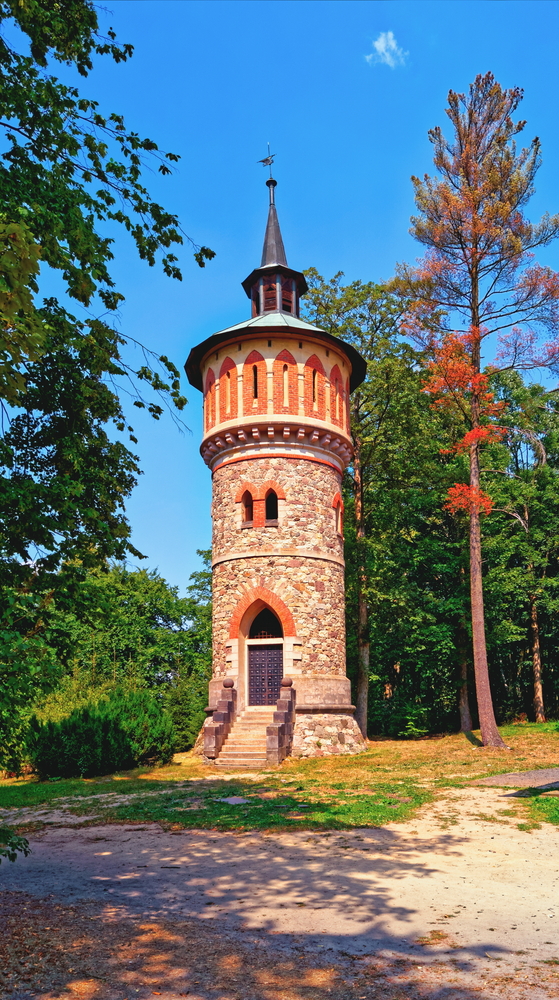 Kudy z nudy - Zámecký park Sychrov - unikátní sbírka dřevin