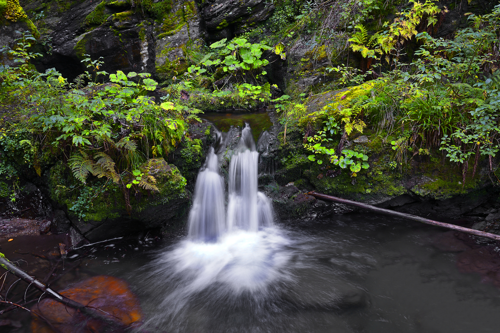 Kudy z nudy - Naučná stezka Bílá Opava
