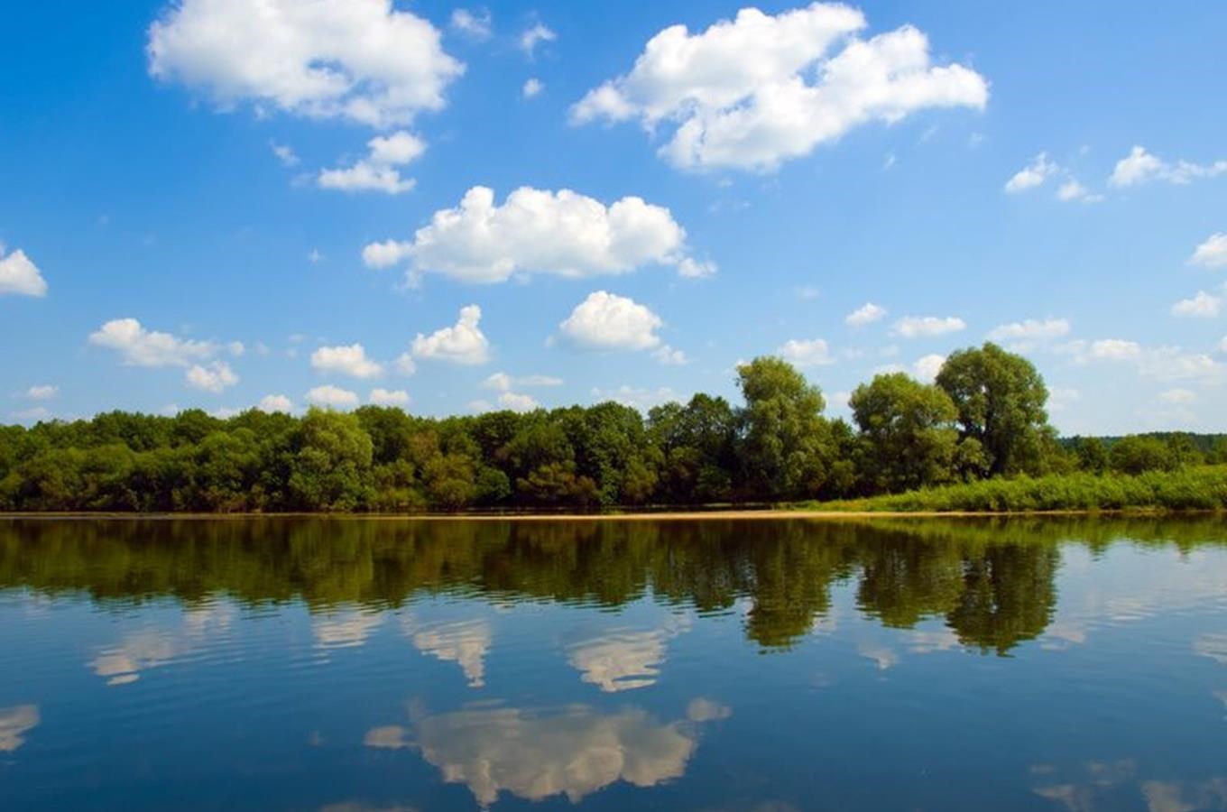 Kudy z nudy - Rybník Svět – sedmý největší rybník Třeboňska