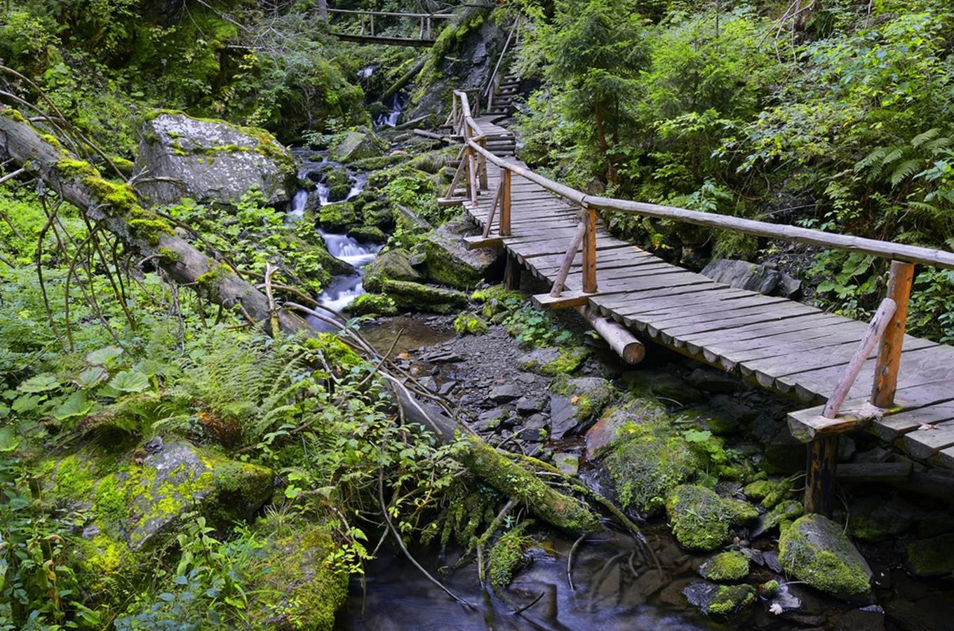 Kudy z nudy - Naučná stezka Bílá Opava
